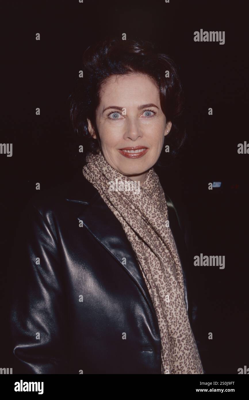 Dayle Haddon attends the after party for the premiere of "Bringing in ...