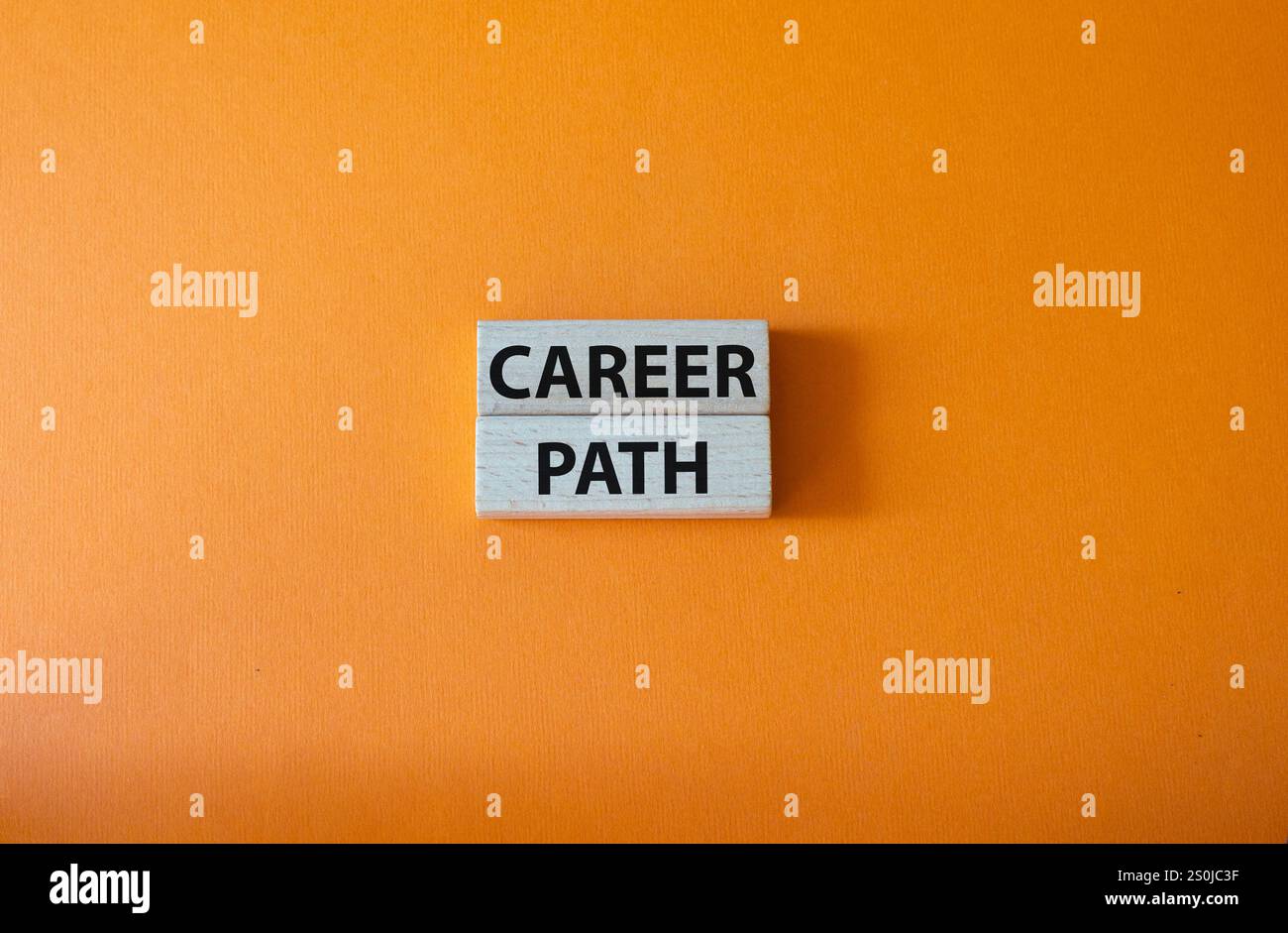 Career path symbol. Concept word Career path on wooden blocks ...