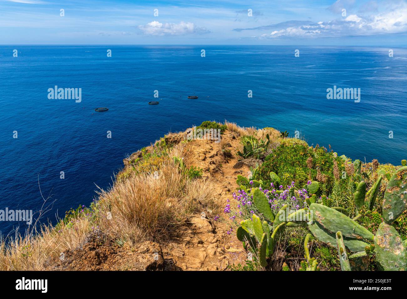 Scenic panoramic view from Miradouro de Sao Sebastiao on a summer ...