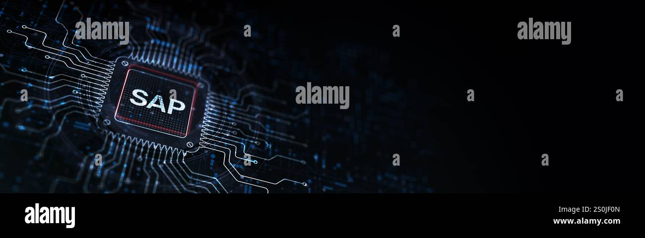 SAP System Analysis and Program Development Streamlining Business Processes Illustrated on a ...