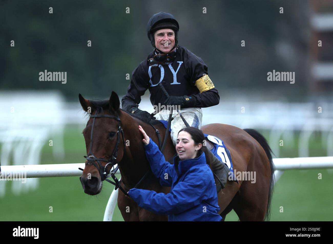 The New Lion ridden by Harry Skelton after winning the Coral Challow ...