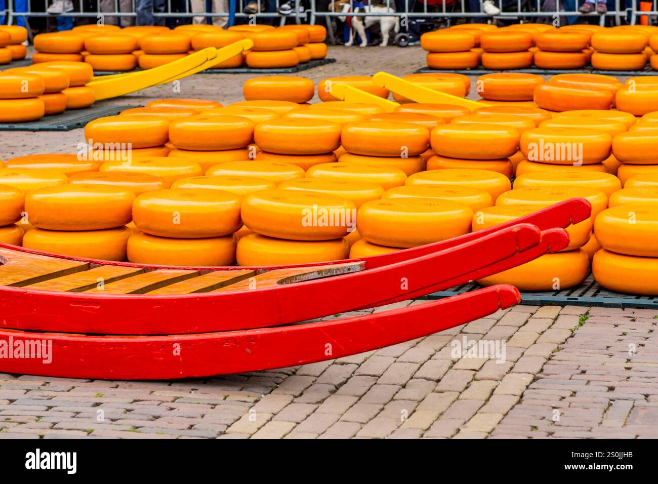 Cheese barrows/sleds loaded with Gouda cheese wheels, Alkmaar cheese ...