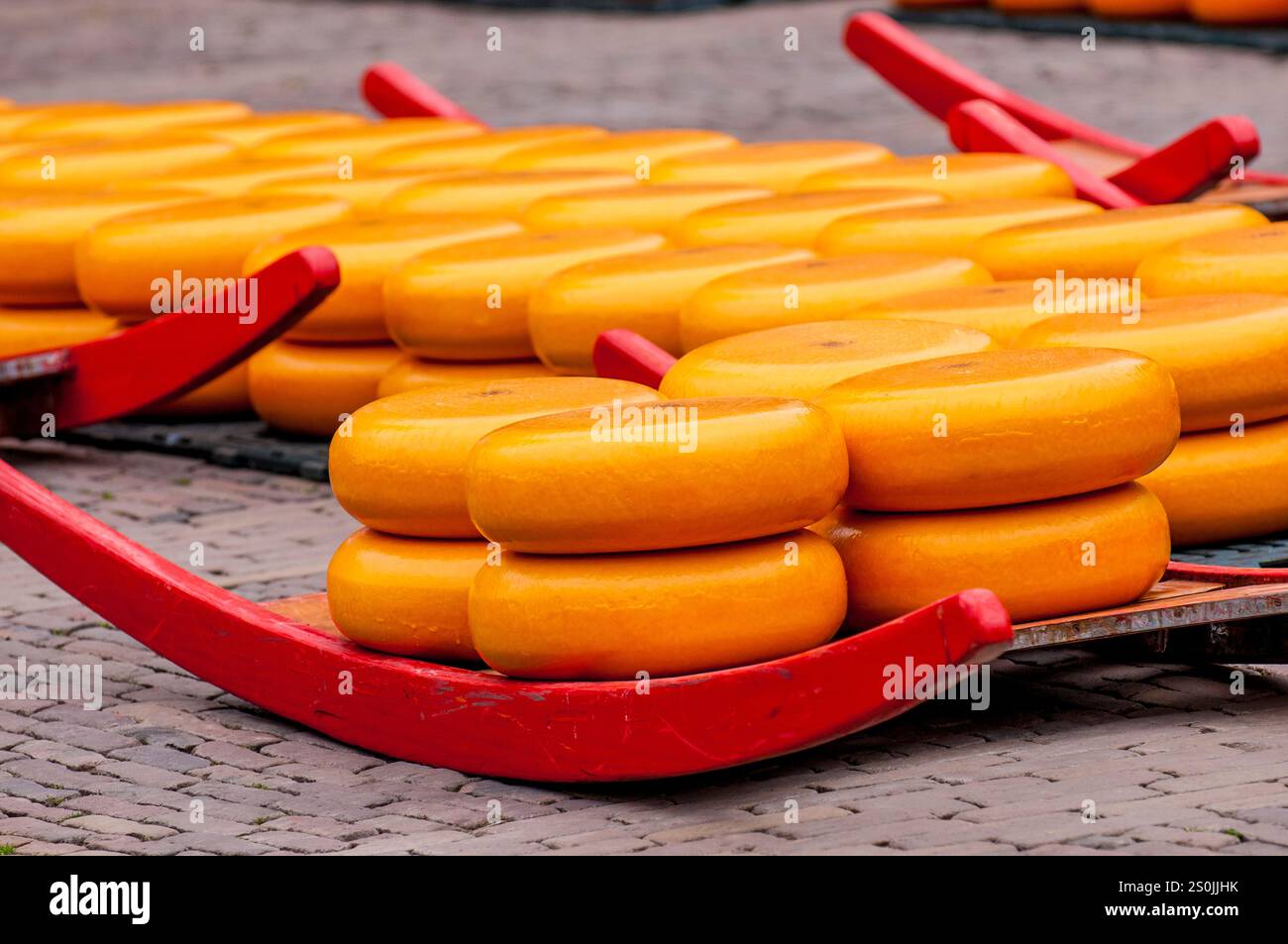 Cheese barrows/sleds loaded with Gouda cheese wheels, Alkmaar cheese ...