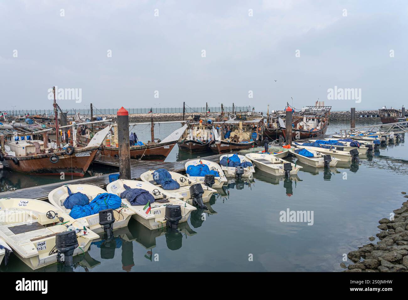 Fishing boats and Dhows in Kuwait City moored up next to the Fish ...