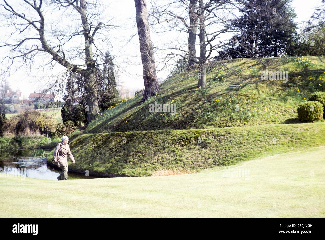 Woman walking past mound of Norman Motte and Bailey castle, Abinger ...