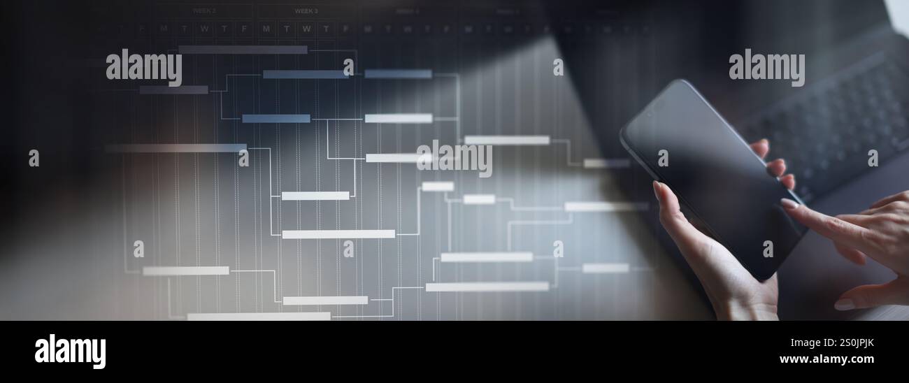 Project Management and Scheduling Using Digital Tools on a Wide Banner ...