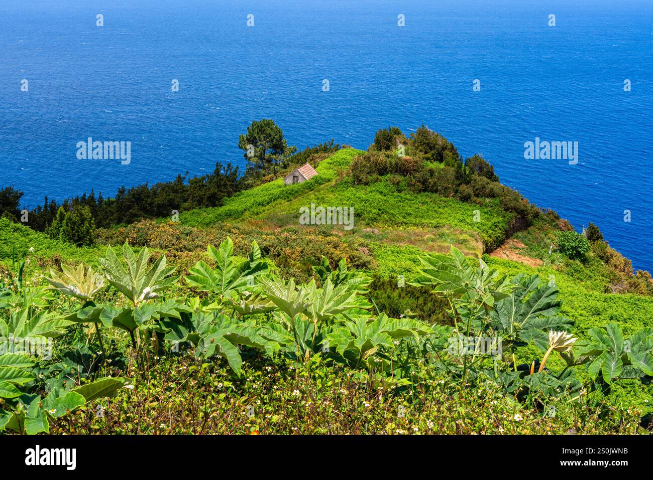 Scenic panoramic view from Miradouro da Eira da Achada on a summer ...