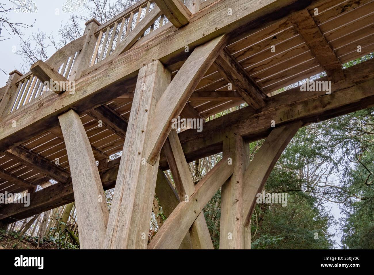 The strength of Oak wood as used for hundreds of years for building ...