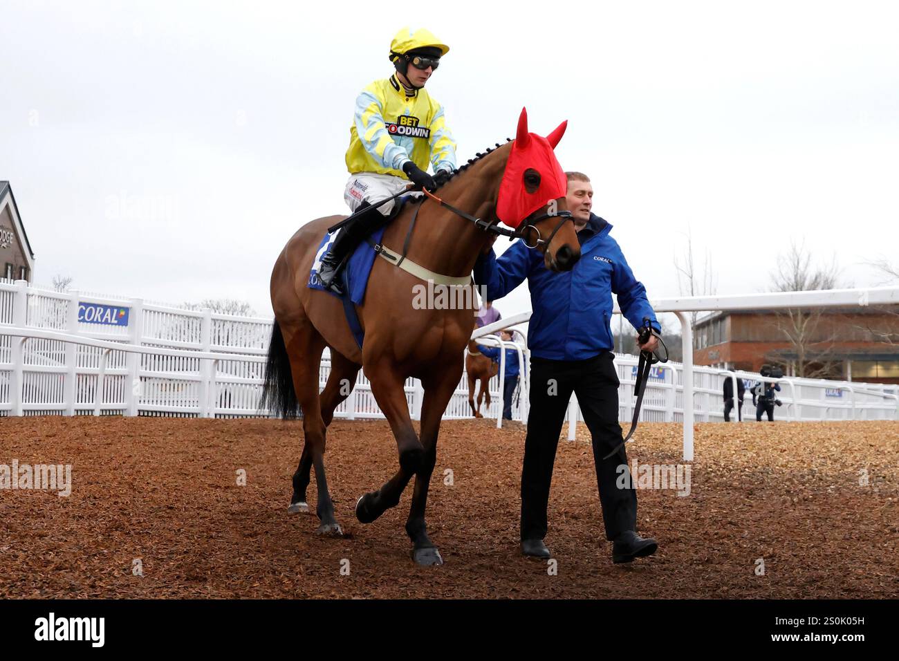 Electric mason horse hi-res stock photography and images - Alamy