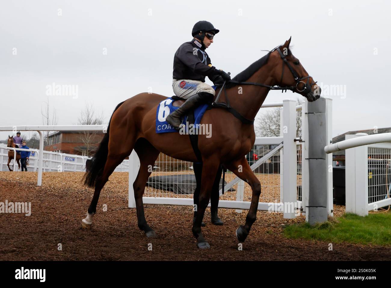 The new lion challow hi-res stock photography and images - Alamy