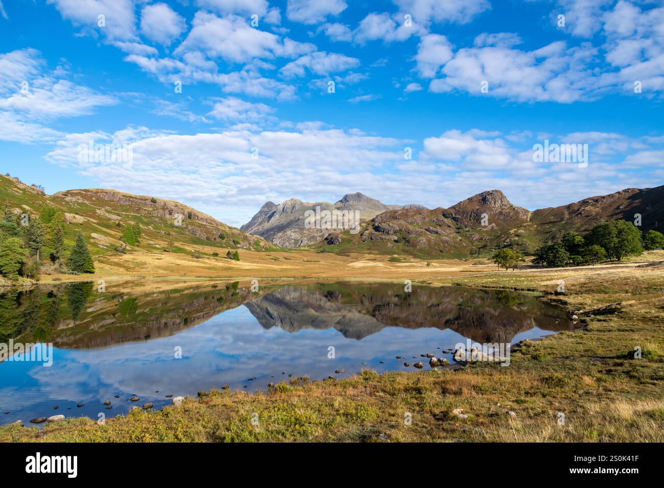 Beautiful still morning at Blea tarn in the Lake District national park ...