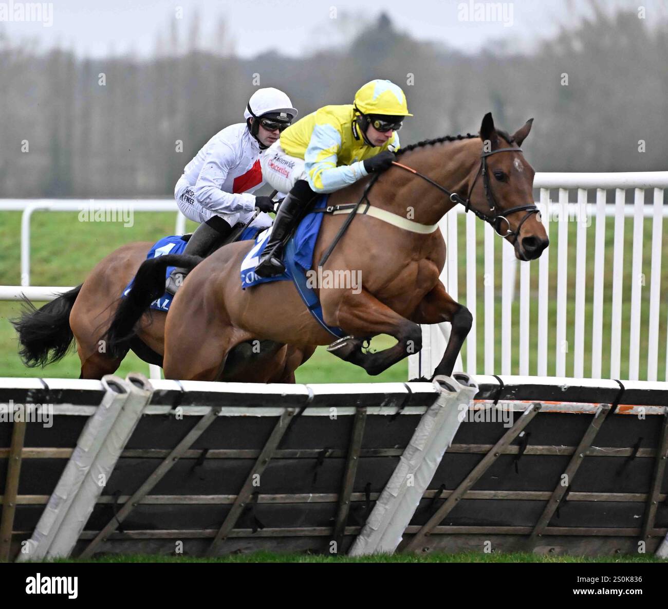 Newbury, UK. 28th Dec, 2024. Electric Mason (yellow cap) ridden by Rex ...