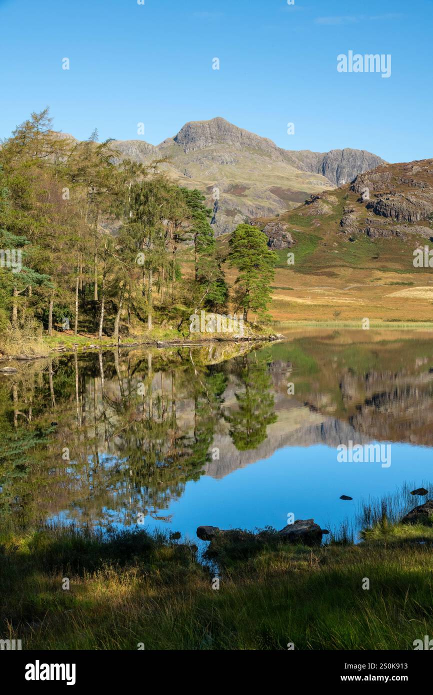 Beautiful still morning at Blea tarn in the Lake District national park ...