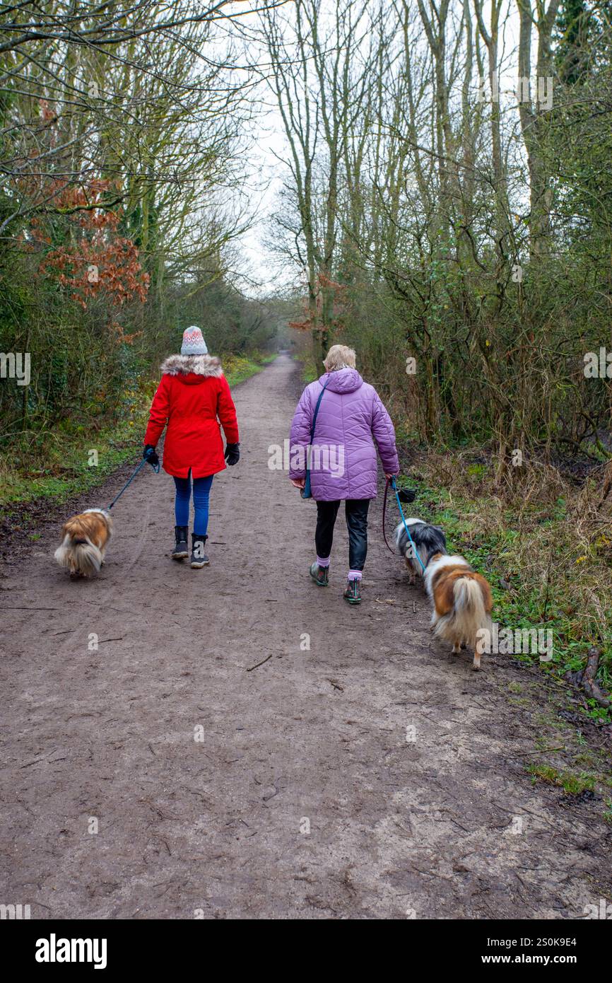 People walking dogs on the Wirral Way footpath, The Wirral Way is a ...