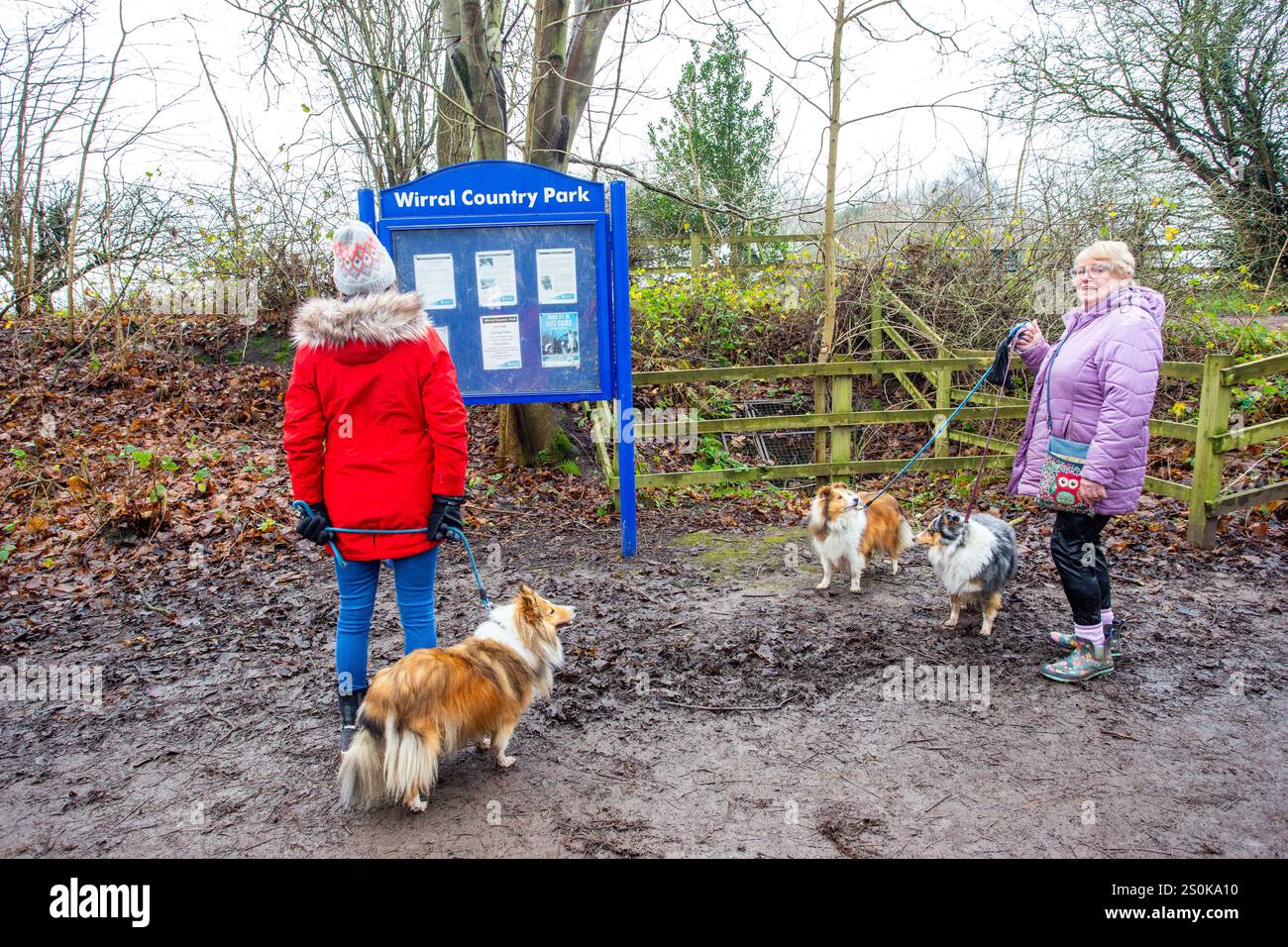 People walking dogs on the Wirral Way footpath, The Wirral Way is a ...