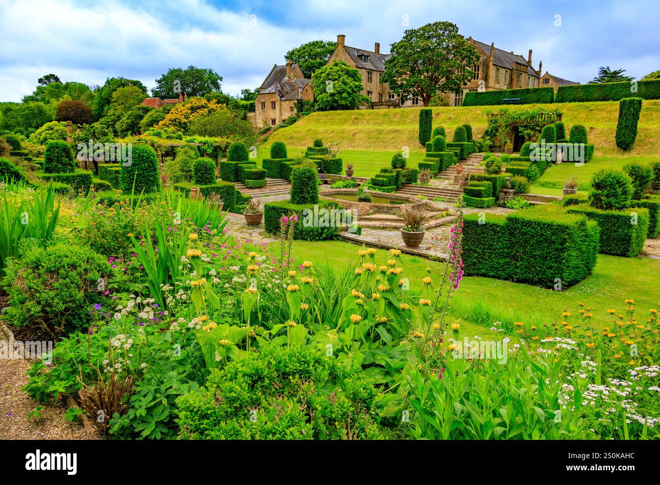 A variety of topiary shaped hedges and herbaceous borders in the ...