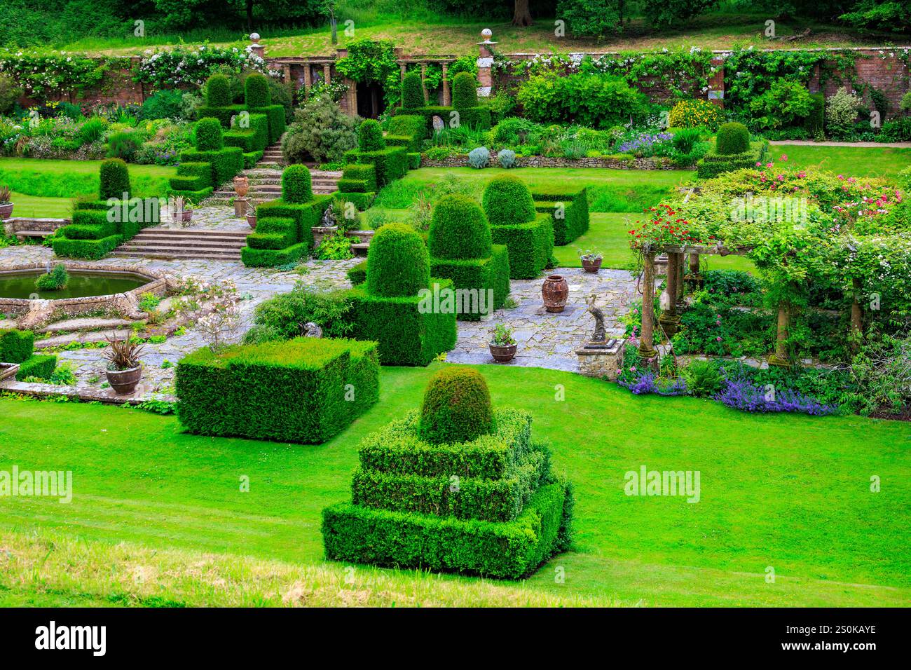 A variety of topiary shaped hedges and herbaceous borders in the ...