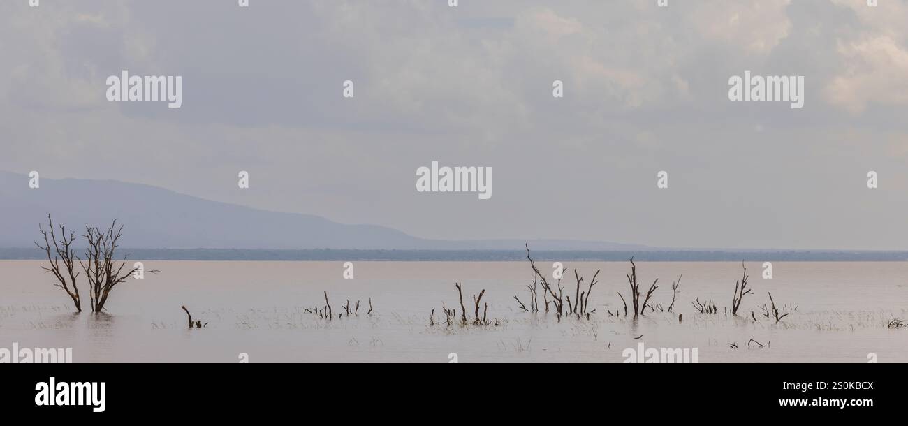 Flooded areas at Lake Manyara National Park as a result of unusually ...