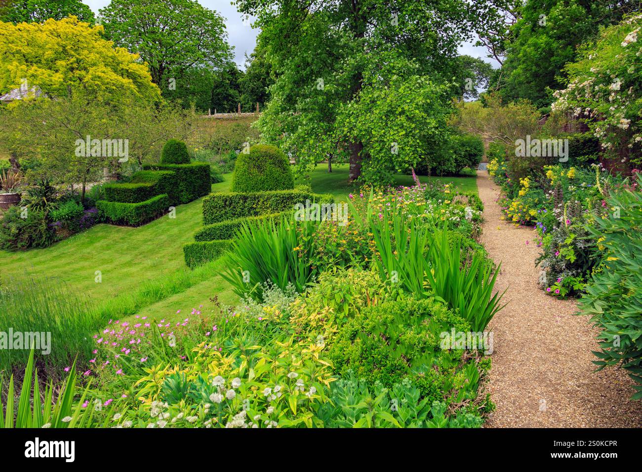 A variety of topiary shaped hedges and herbaceous borders in the ...