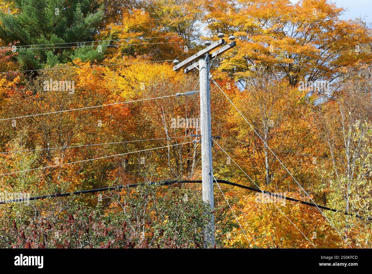Wood utility pole in the country, Quebec,Canada Stock Photo - Alamy