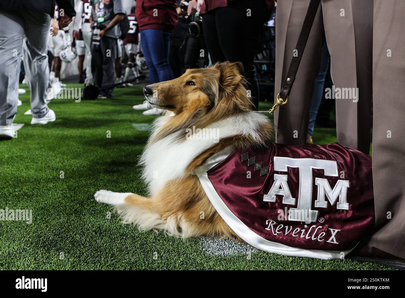 Las Vegas, NV, USA. 27th Dec, 2024. Miss Rev, official mascot of the ...