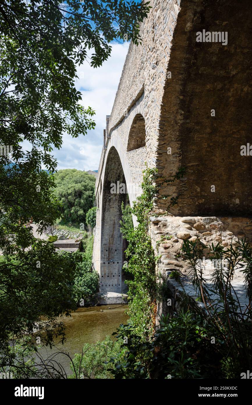 The medieval stone bridge ‘Devil's Bridge’ over the river Tech, Céret ...