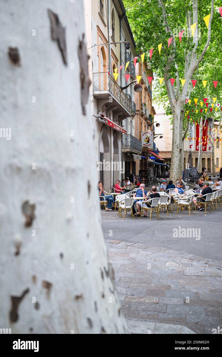 Guests sit under sycamore trees in front of the bar Le Grand Cafe, a ...