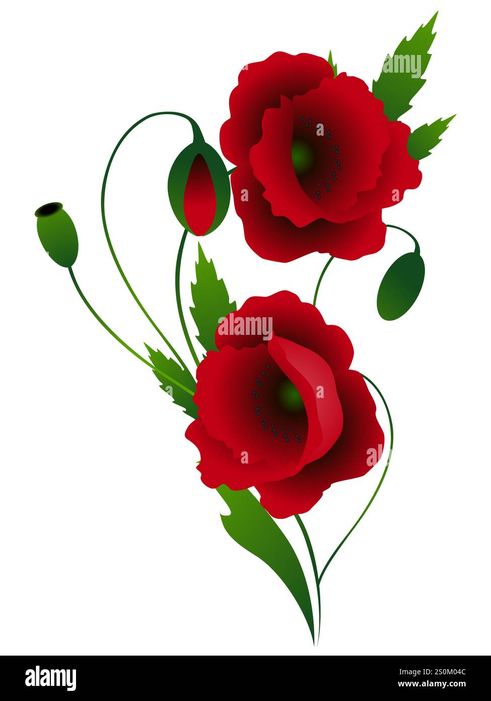 Field of poppies isolated Stock Vector Images - Alamy