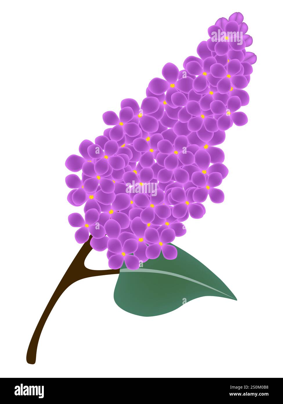 Lilac flower art Stock Vector Images - Alamy