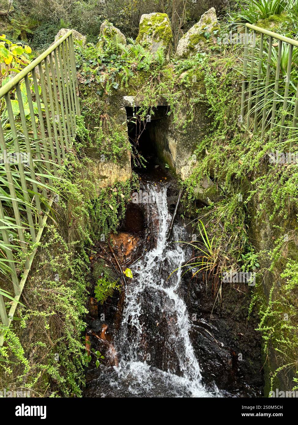 Beautiful mountainside springs in Sintra, Portugal Stock Photo - Alamy
