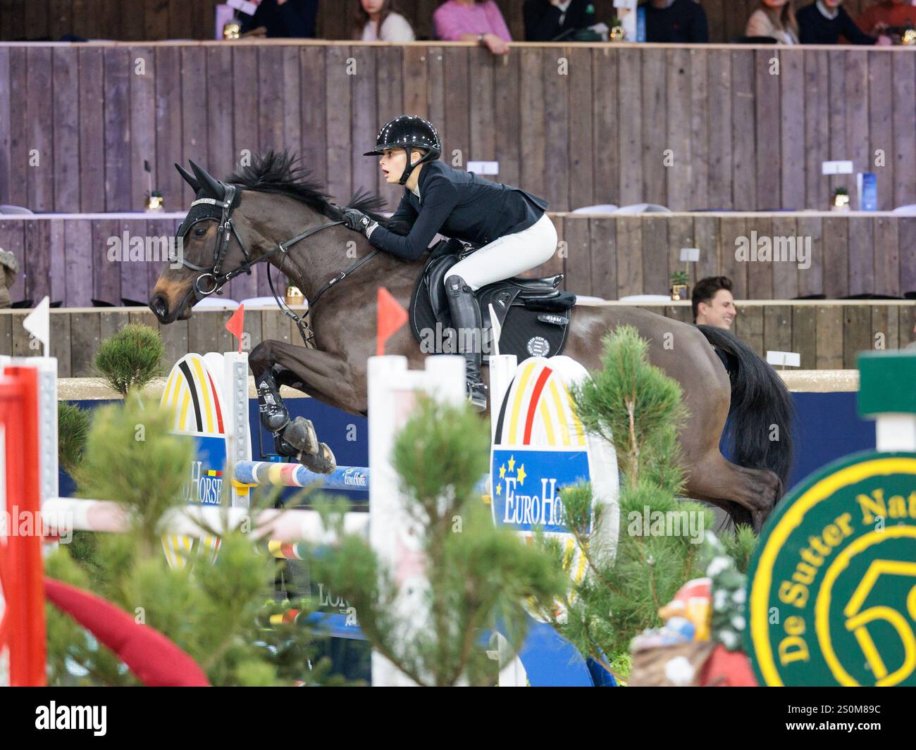 Mechelen, Belgium. 28th Dec 2024. Mechelen, Belgium. 28th Dec 2024 ...