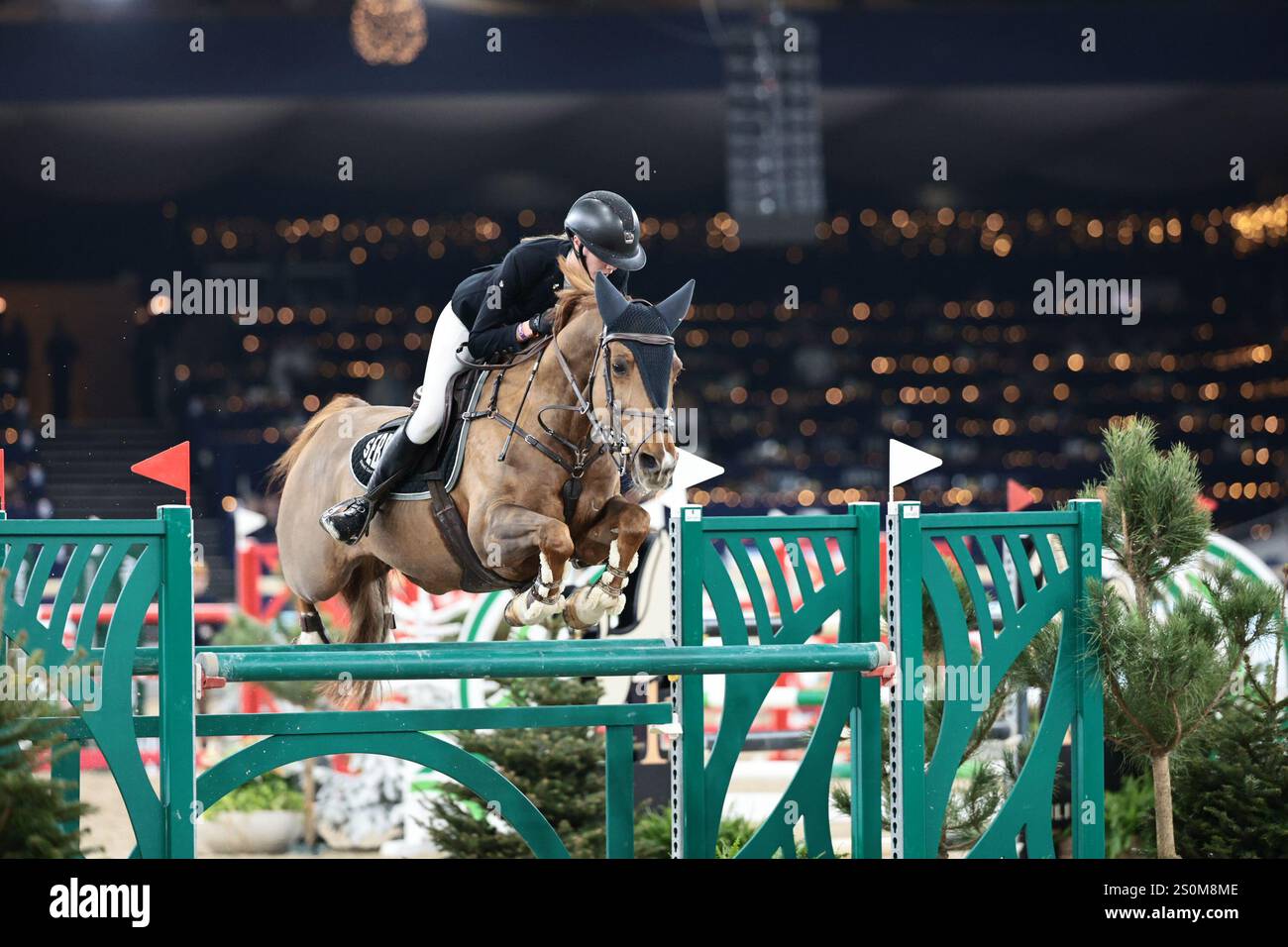 Zara jane kelly hi-res stock photography and images - Alamy