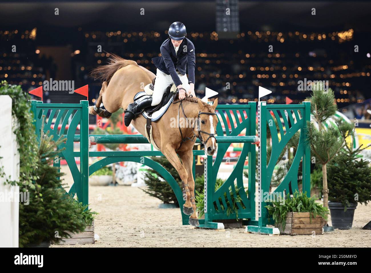 Mechelen, Belgium. 28th Dec 2024. Mechelen, Belgium. 28th Dec 2024 ...