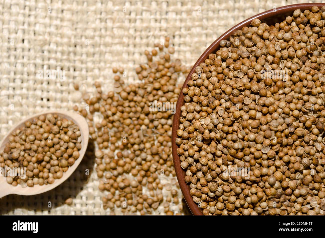 Coriander grains in a ceramic bowl. Cilantro seeds. Eastern spices ...