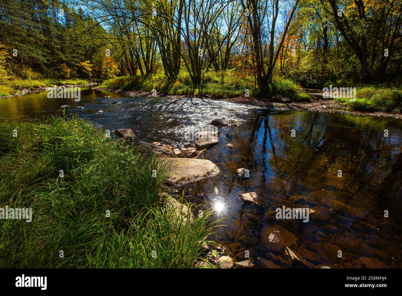 Colorful Wisconsin forest with a river and a blue sky in early October ...