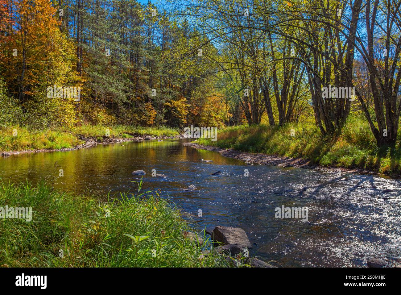 Colorful Wisconsin forest with a river and a blue sky in early October ...