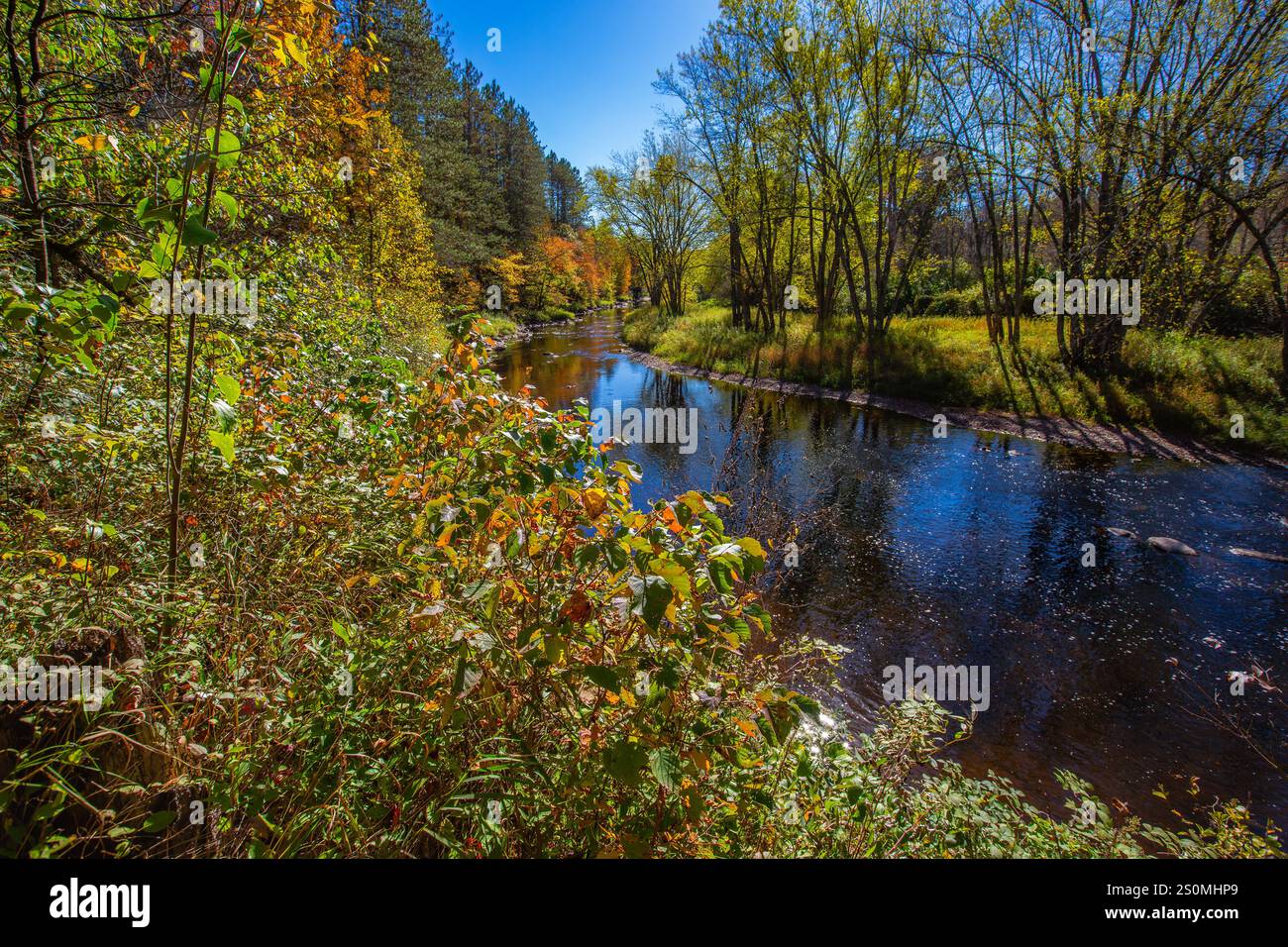 Colorful Wisconsin forest with a river and a blue sky in early October ...