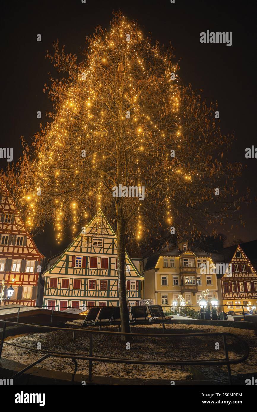 A festively lit tree in front of illuminated half-timbered houses on a ...