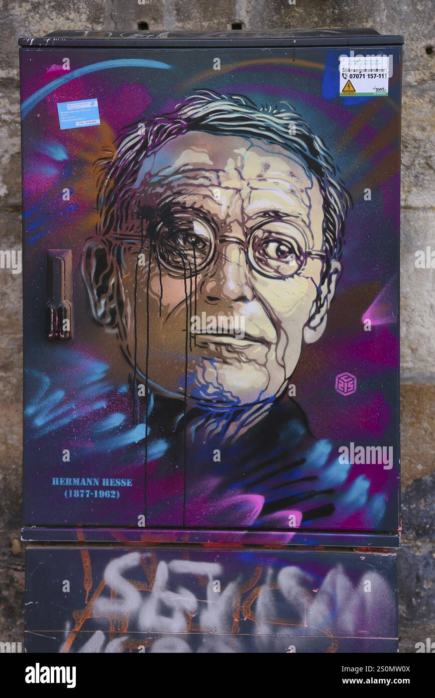 Painted cable distribution box in historic city centre, modern painting ...