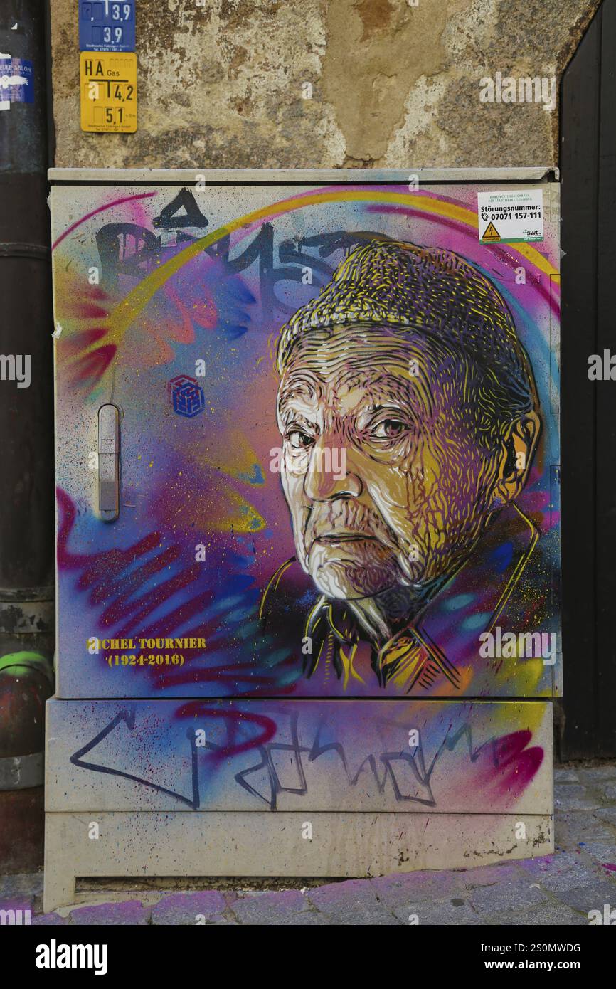 Painted cable distribution box in historic city centre, modern painting ...