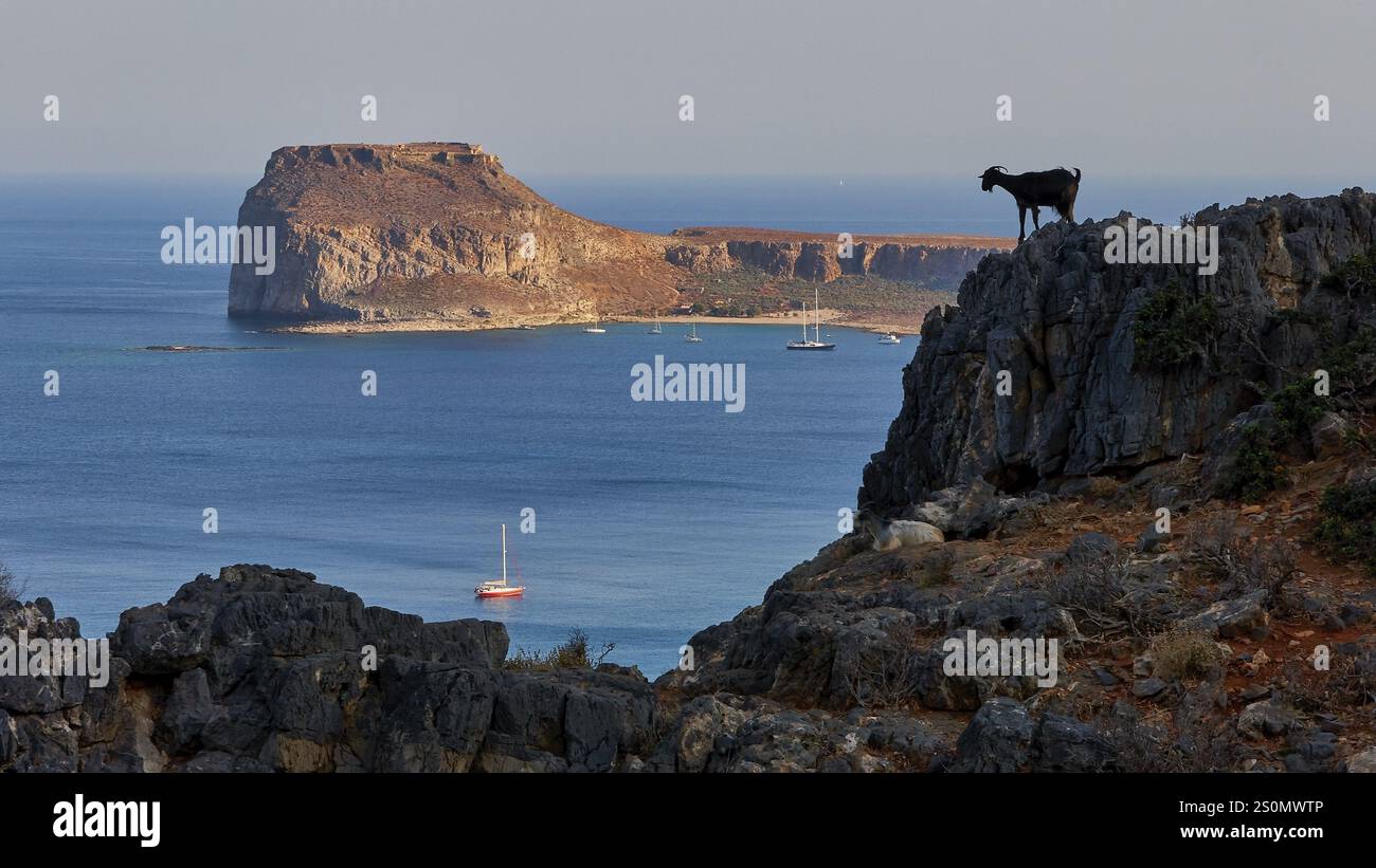 A goat stands on a cliff overlooking the turquoise sea and boats in ...
