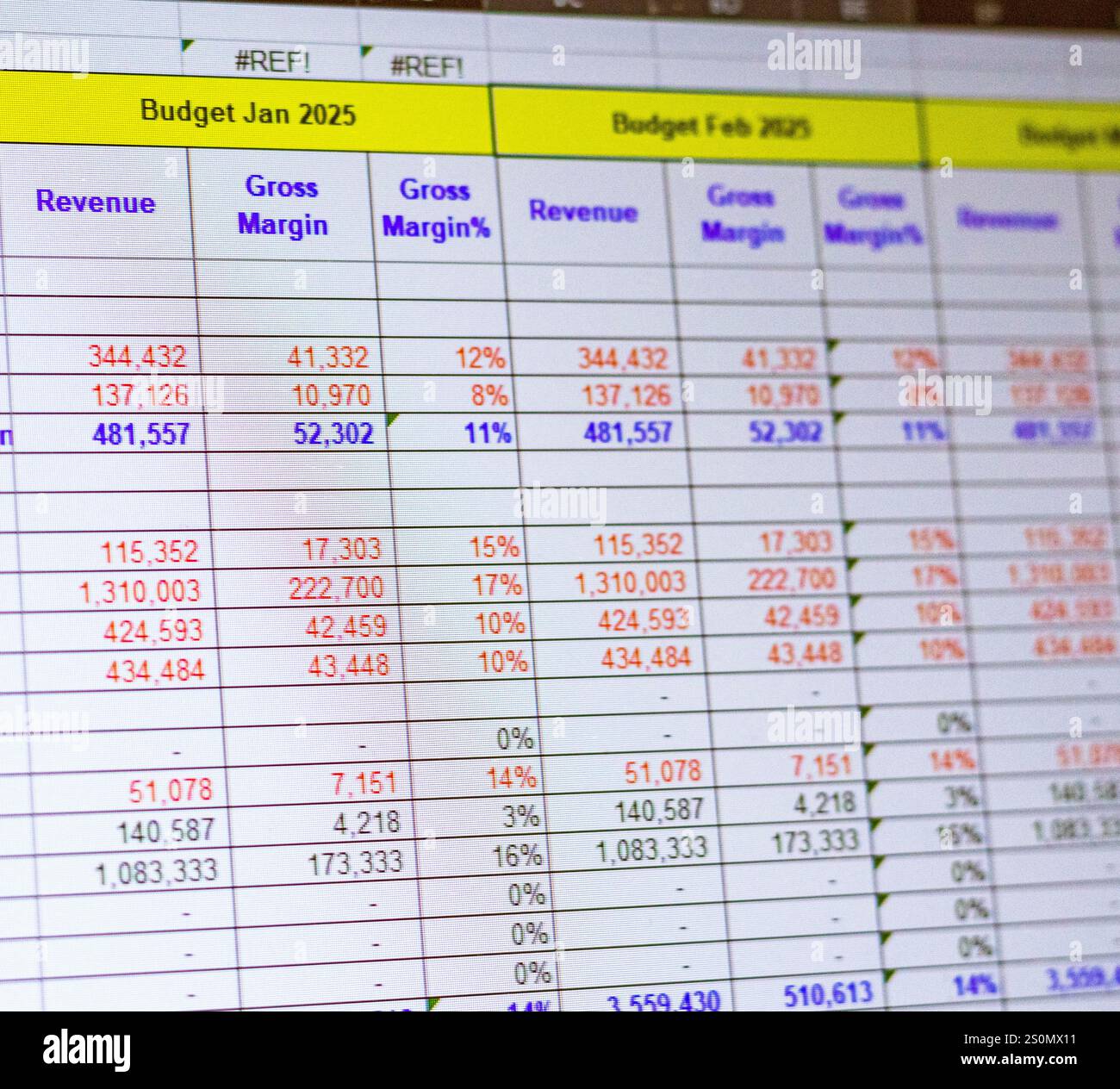 Shot of a computer screen showing excel table with company budget open ...