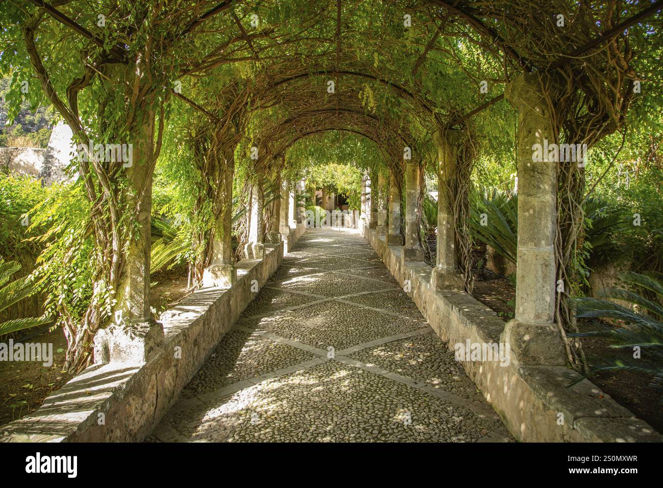 Green pergola with shady paths and natural Mediterranean surroundings ...