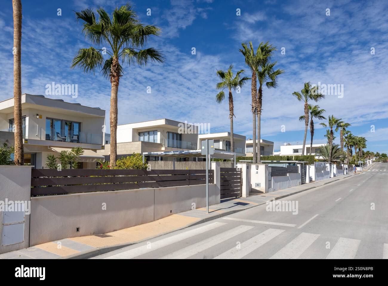 Modern luxury villas in a peaceful neighborhood, bordered by tall palm ...