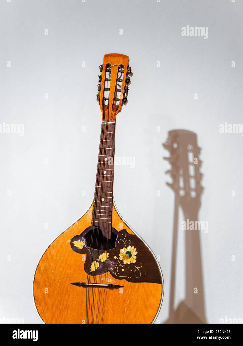 A vintage mandolin with floral decorations on its body, casting a ...