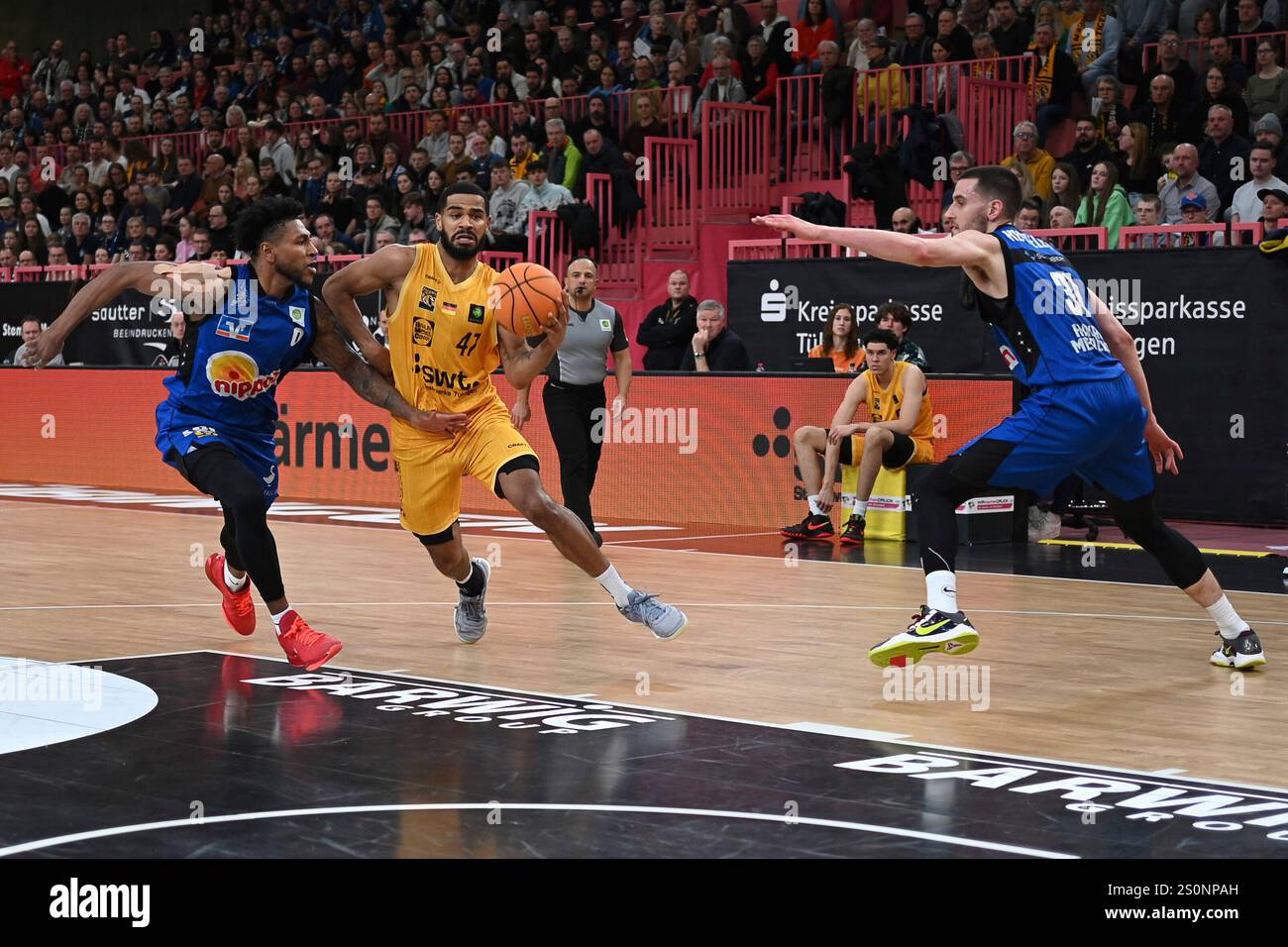 Marvin Heckel (Tigers Tuebingen, #47) GER, Tigers Tuebingen vs. HAKRO ...