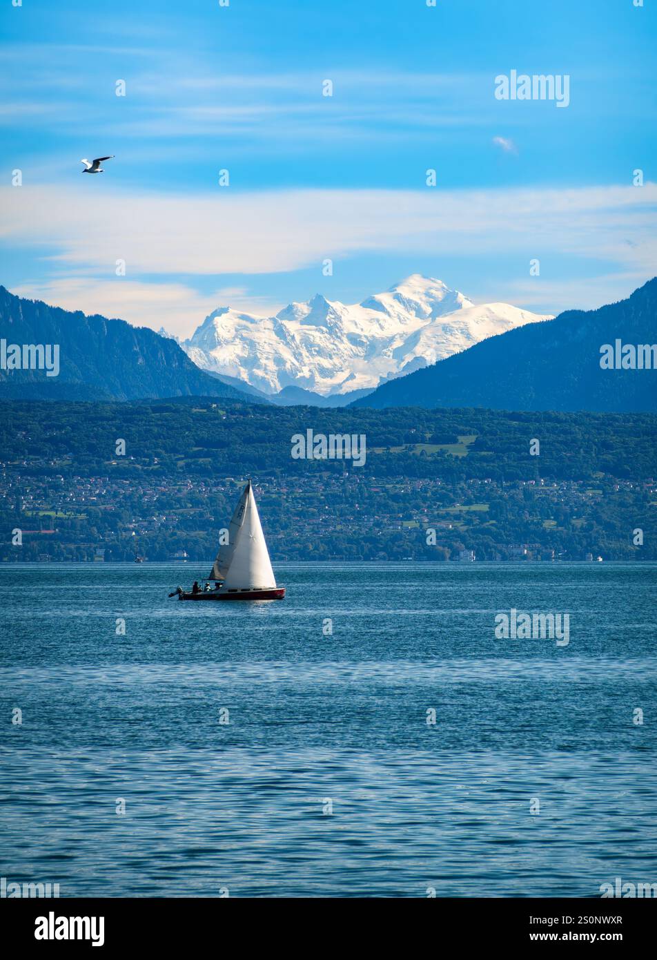 Morges, Switzerland - September 6, 2024: A sailboat glides across a serene lake, majestic snow ...
