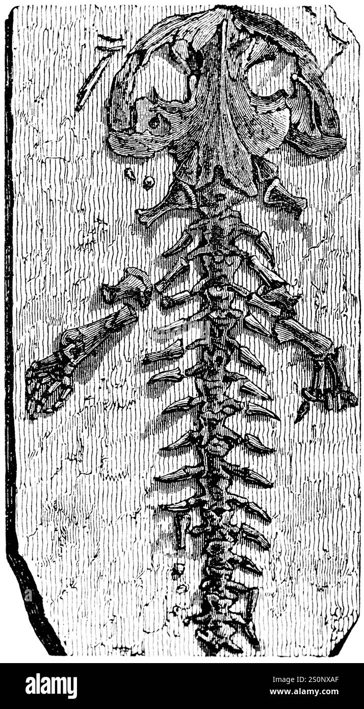 Giant chalk Cut Out Stock Images & Pictures - Alamy