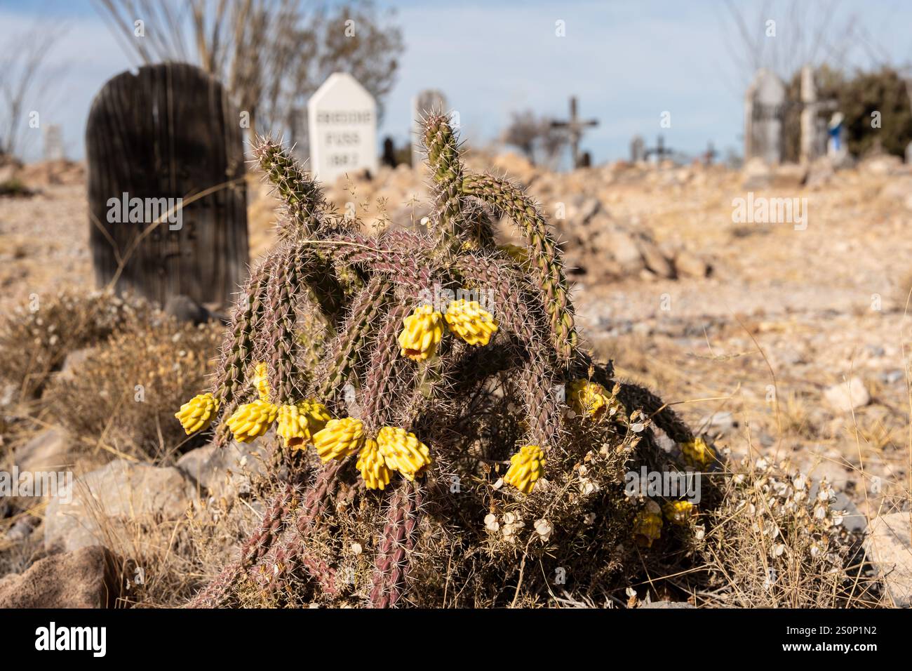 The wild west town of Tombstone, Arizona was a rough and tumble town ...