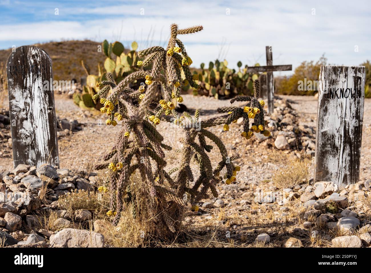 The wild west town of Tombstone, Arizona was a rough and tumble town ...